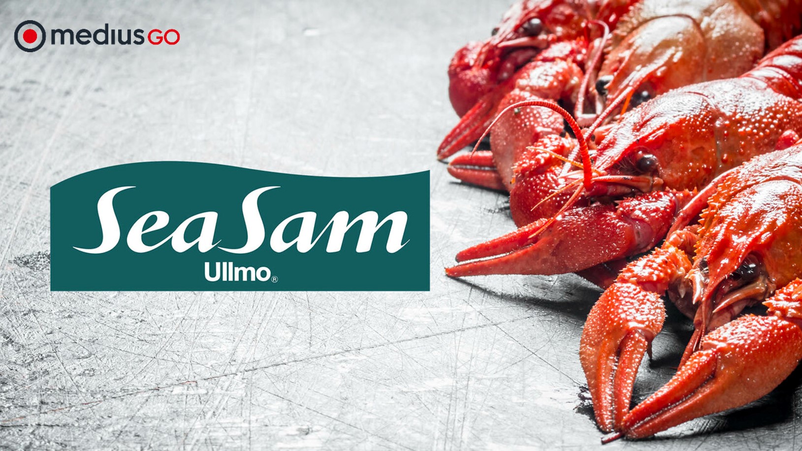 SeaSam implementerar MediusGo!