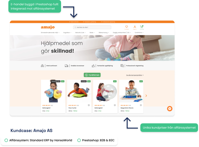 Standard ERP by HansaWorld