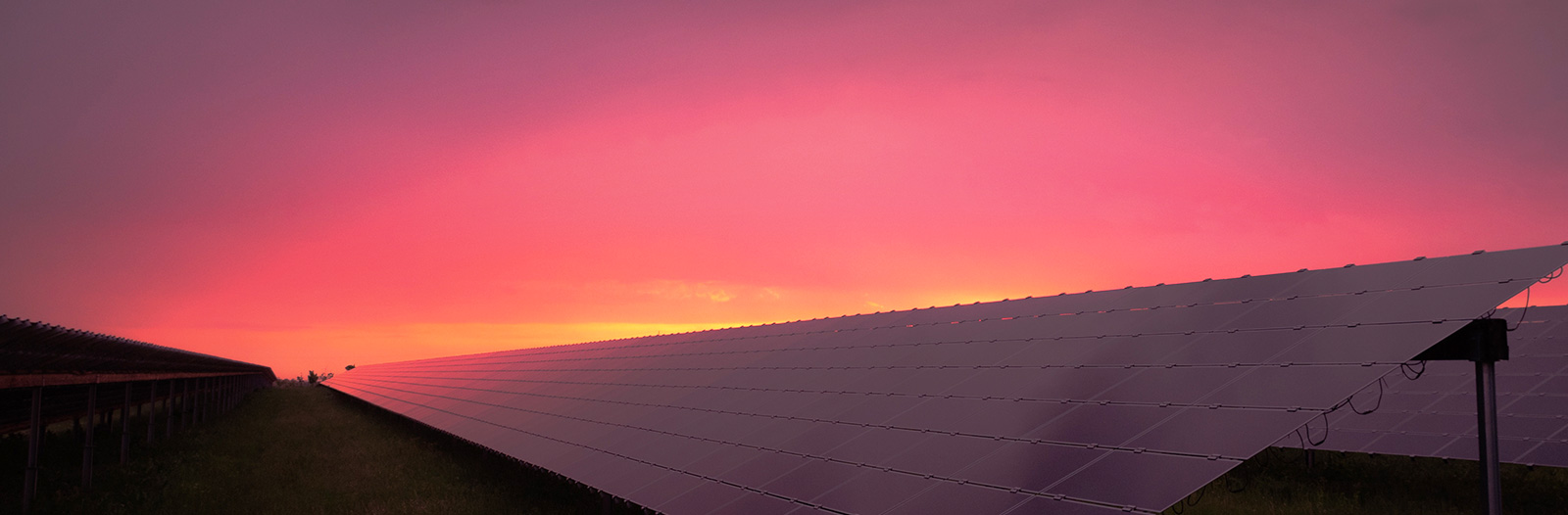 AB Gylling & Co väljer Applitron